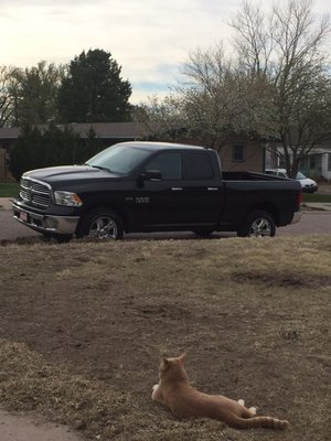 CHRISTOPHER’S DODGE RAM - Updated May 2026 - 26 Photos & 227 Reviews ...