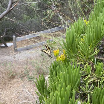 BLUFF TRAIL PARK - Updated January 2026 - 76 Photos & 18 Reviews - 1 W ...