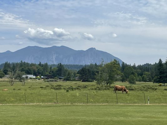 SNOQUALMIE FALLS GOLF COURSE - Updated December 2025 - 29 Photos & 32 ...