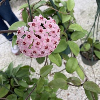 ISAAC FARMS - Updated January 2026 - 456 Photos & 113 Reviews - 18800 ...