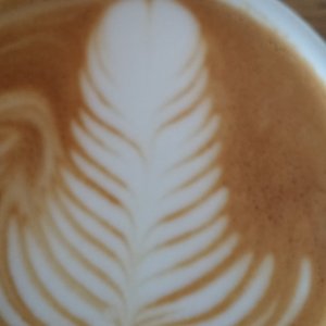 ORA - 27 Photos & 22 Reviews - 156 Pakington St, Kew Victoria ...