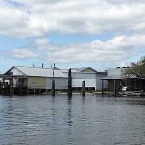 BON SECOUR FISHERIES - 17449 County Road 49 S, Bon Secour, Alabama ...