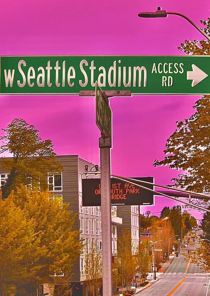 WEST SEATTLE STADIUM - Updated September 2024 - 4432 35th Ave SW ...