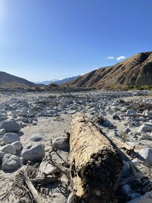 WHITEWATER PRESERVE - Updated December 2025 - 547 Photos & 118 Reviews ...