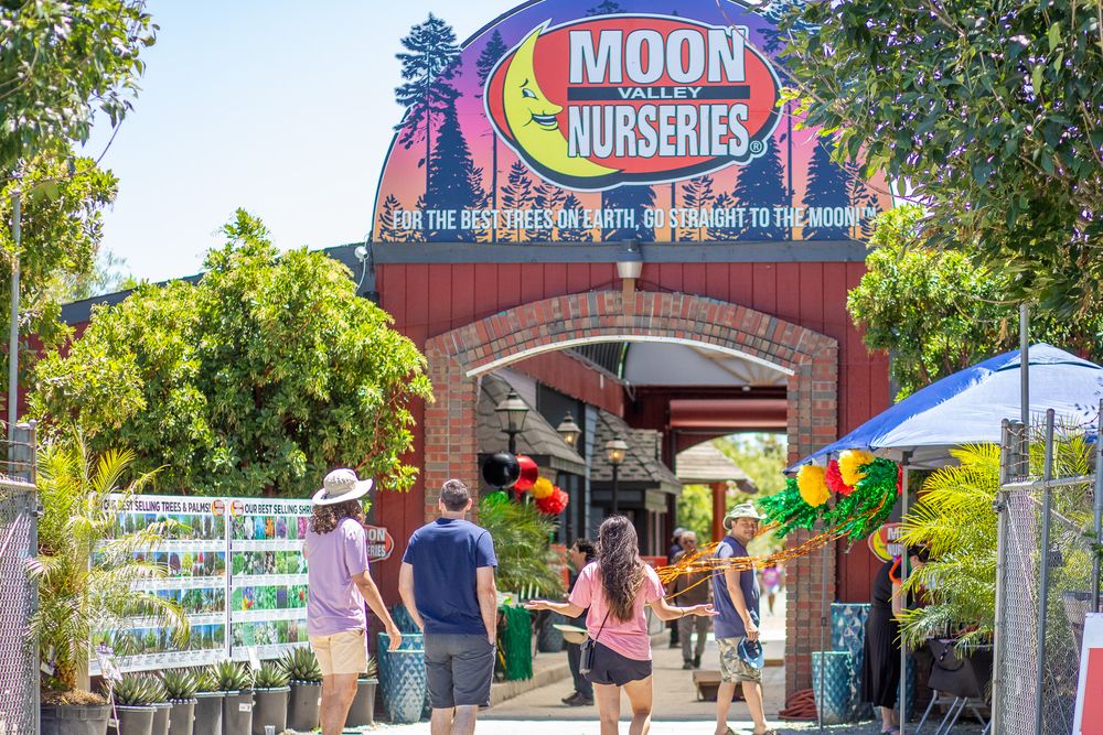 MOON VALLEY NURSERIES - Updated May 2024 - 55 Photos & 24 Reviews - 7021 Lone Tree Wy, Brentwood ...
