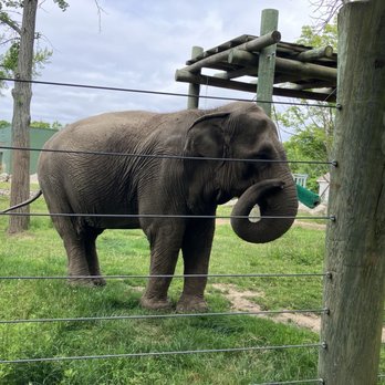 BUTTONWOOD PARK ZOO - Updated October 2025 - 244 Photos & 58 Reviews ...