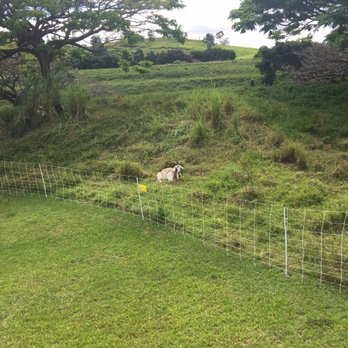 MAKANI GOLF CLUB - Updated December 2025 - 112 Photos & 44 Reviews - 71 ...