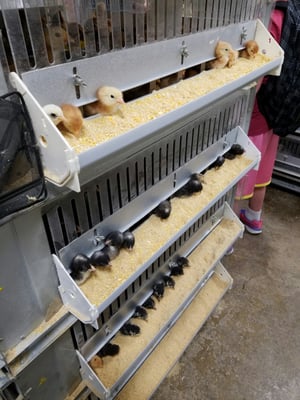 IFA COUNTRY STORE - SALT LAKE CITY - Updated December 2025 - 11 Photos ...