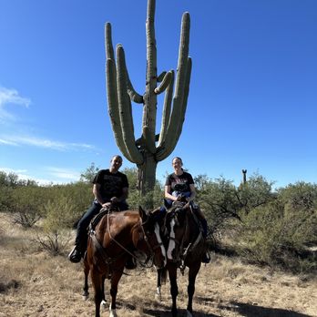 HOUSTON’S HORSEBACK RIDING - Updated December 2025 - 80 Photos & 50 ...