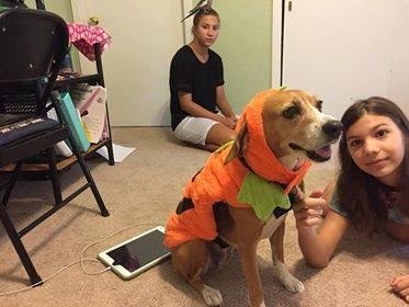 WHARTON VETERINARY CLINIC - Updated May 2026 - 21 Photos & 14 Reviews ...