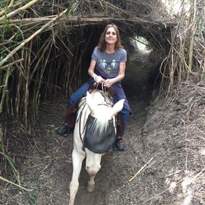 TALHA MEMON, M.D - Updated December 2025 - 39755 Date St, Murrieta ...