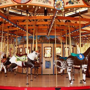 TOM MANKIEWICZ CONSERVATION CAROUSEL - 11 Photos - 5333 Zoo Dr, Los ...