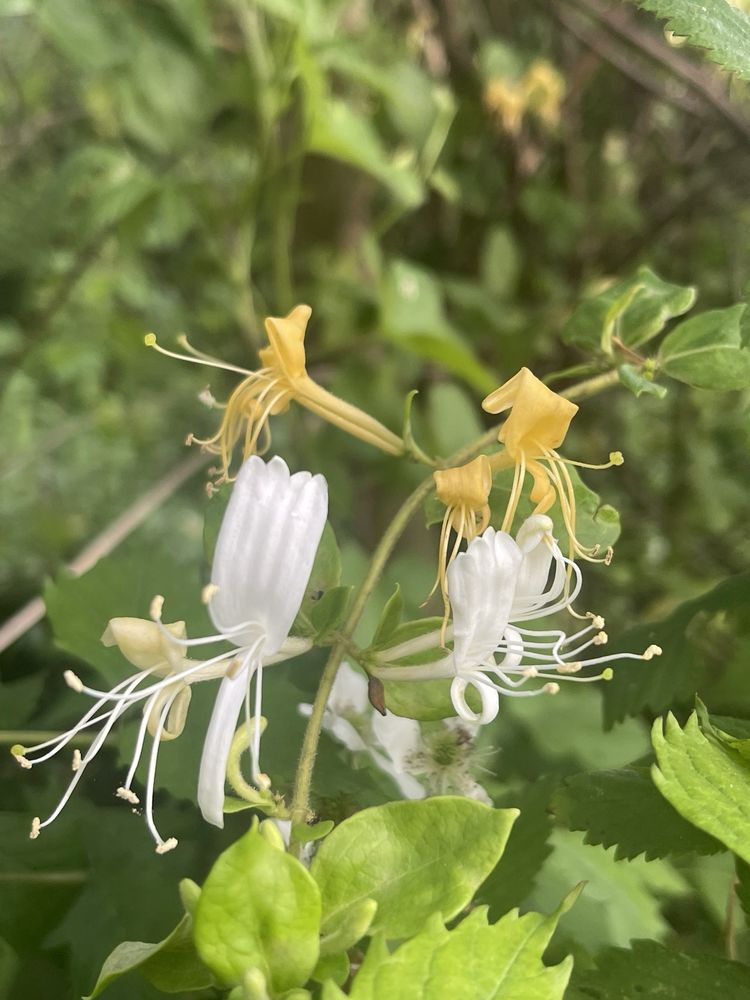 NEABSCO BOARDWALK - Updated December 2025 - 204 Photos & 21 Reviews ...