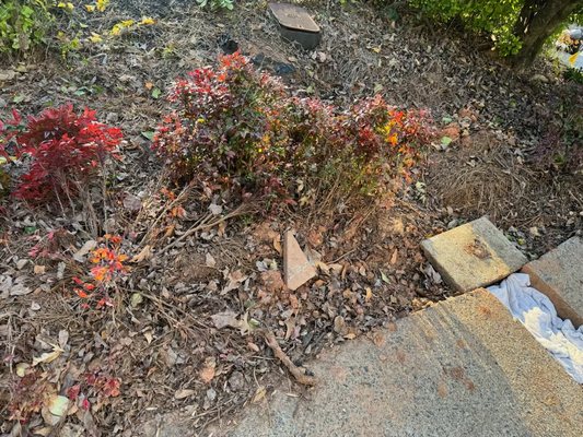 ARROW WASTE - Updated December 2025 - 27 Photos & 68 Reviews - 4039 ...