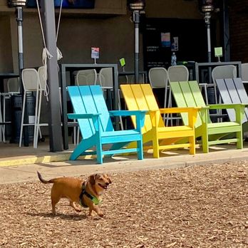 BARKSIDE - Updated January 2026 - 25 Photos & 20 Reviews - 7960 Kercheval Ave, Detroit, Michigan ...