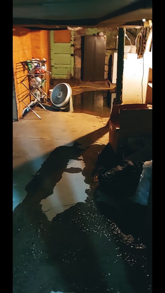 LOBOS MANAGEMENT - Updated August 2025 - 47 Photos & 220 Reviews - 233 ...