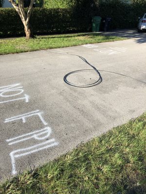 LEWIS TREE SERVICE - Updated December 2025 - 21 Photos & 31 Reviews ...