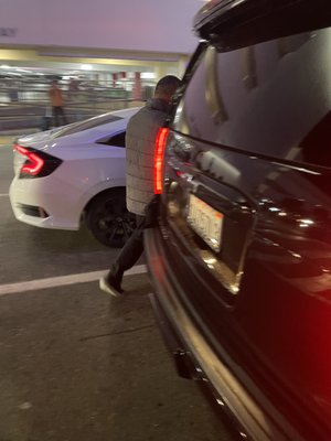 PRIME TIME SHUTTLE - Updated October 2025 - 27 Photos & 249 Reviews ...