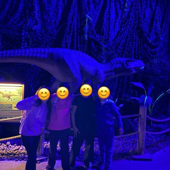 DINOS ALIVE - Updated December 2025 - 39 Photos & 13 Reviews - 31 15th ...