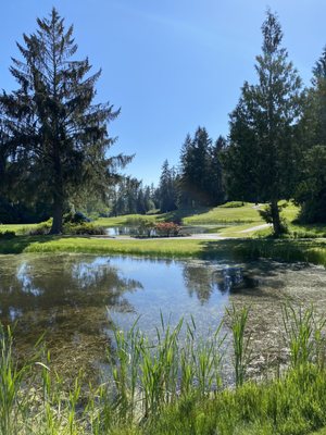 PORT LUDLOW GOLF COURSE - Updated May 2025 - 24 Photos & 26 Reviews ...