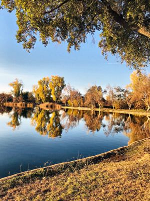 LODI LAKE NATURE TRAIL - Updated December 2024 - 203 Photos & 45 ...