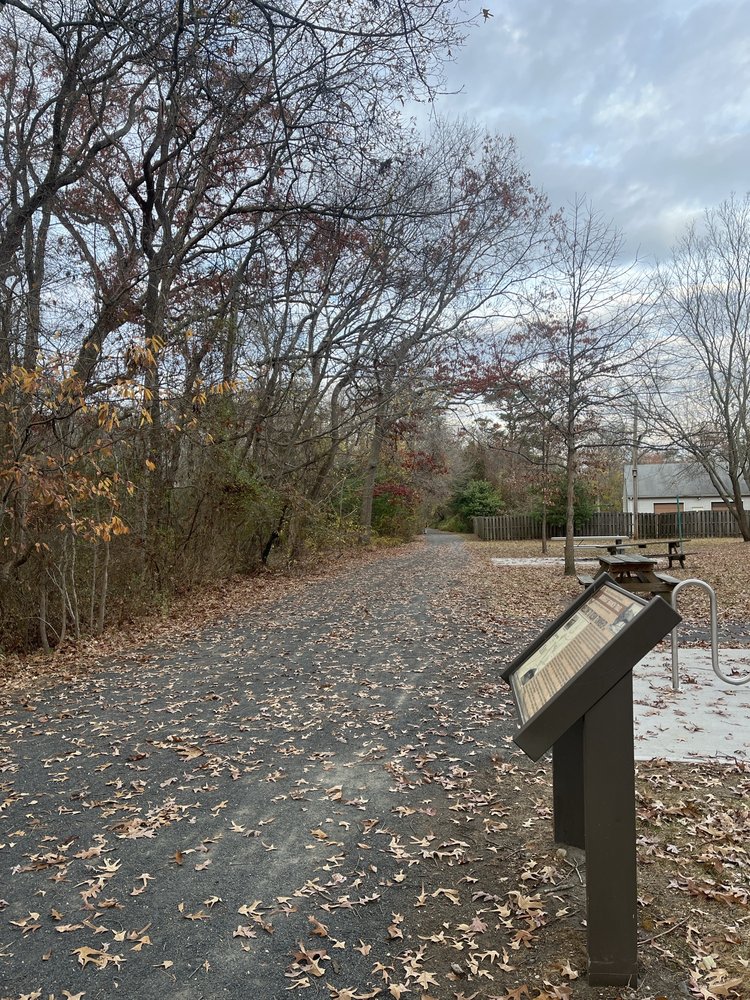 BARNEGAT BRANCH TRAIL - Updated April 2025 - 15 Photos - Barnegat, New ...