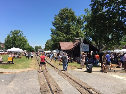 ARTS IN THE PARK - Updated November 2024 - 845 E Main St, Blue Ridge ...