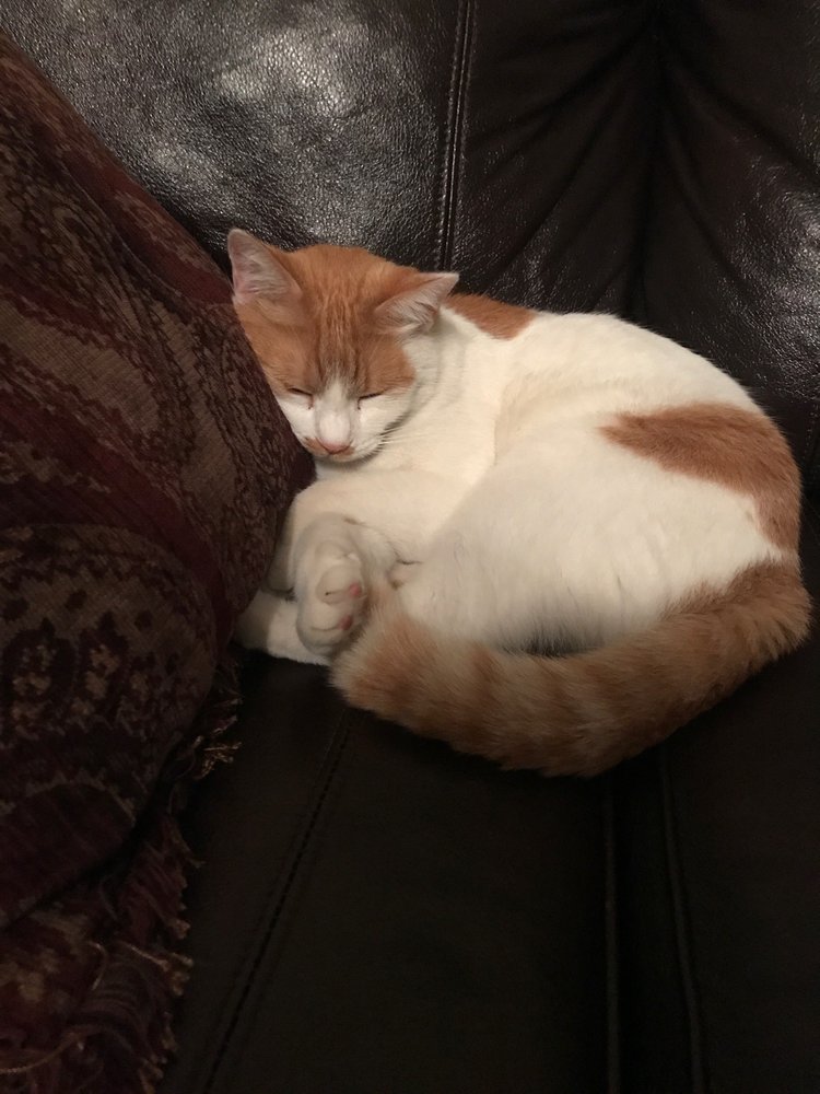 HEALTHNET BARRINGTON HEALTH CENTER - Updated June 2024 - 3401 E Raymond ...