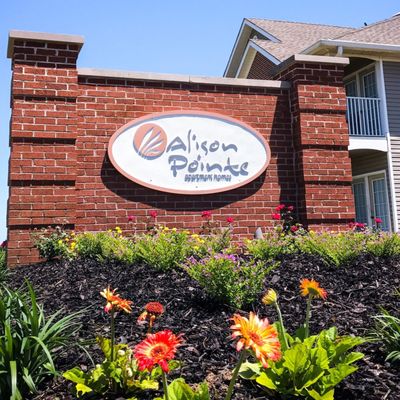 ALISON POINTE - Updated March 2025 - 14 Photos - 9921 Bethany Dr, Foley ...