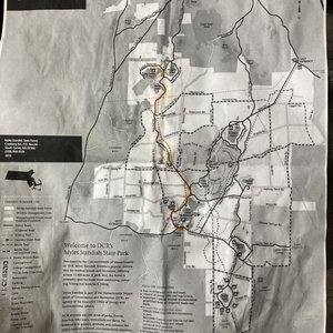 MYLES STANDISH STATE FOREST - 42 Photos & 42 Reviews - 194 Cranberry Rd ...