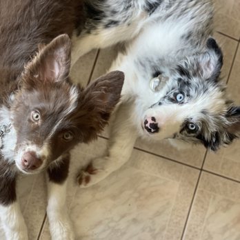 TEAM REEVES RANCH - Updated October 2025 - 84 Photos & 23 Reviews ...