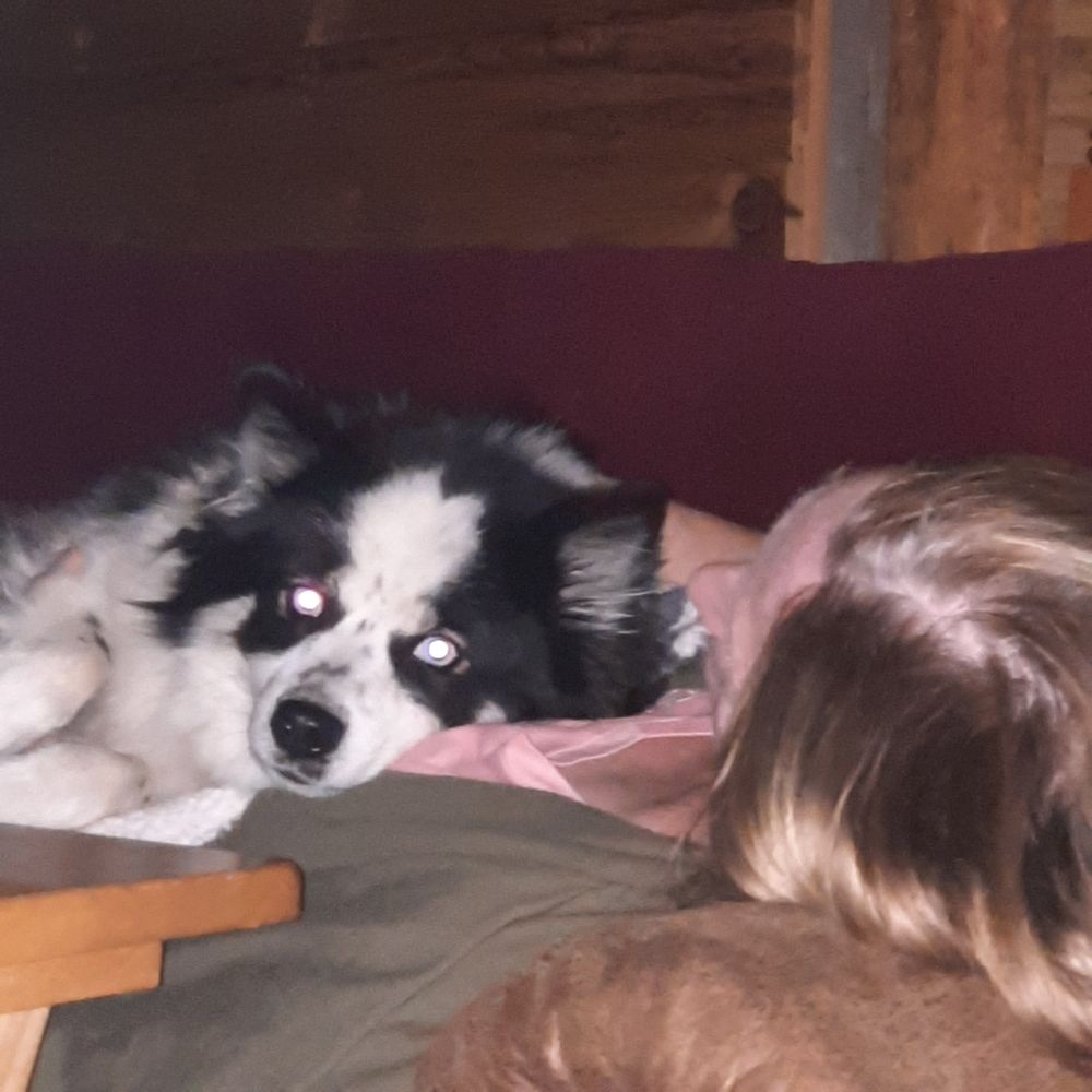 TROUT LAKE POMSKI’S - Updated January 2025 - Request a Quote - Alban ...