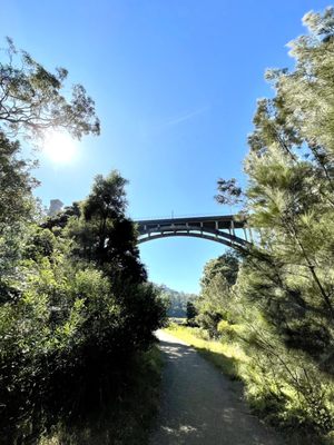 TUNKS PARK - Updated March 2025 - 18 Photos - Brothers Ave, Cammeray ...