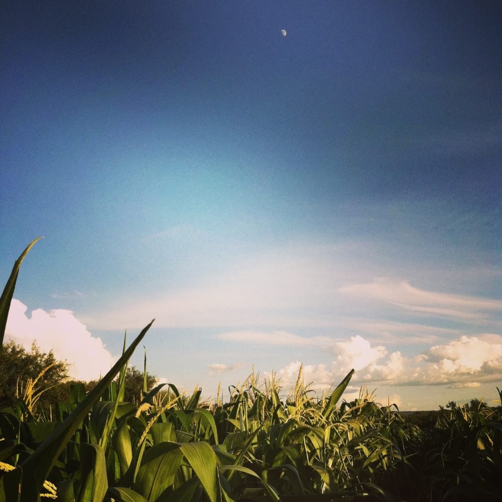 SLEEPING FROG FARMS - Updated August 2025 - 14 Photos - 4510 N Cascabel ...