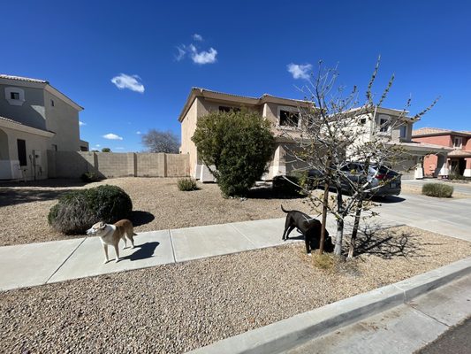 ASSOCIATED ASSET MANAGEMENT - Updated December 2025 - 18 Photos & 150 ...