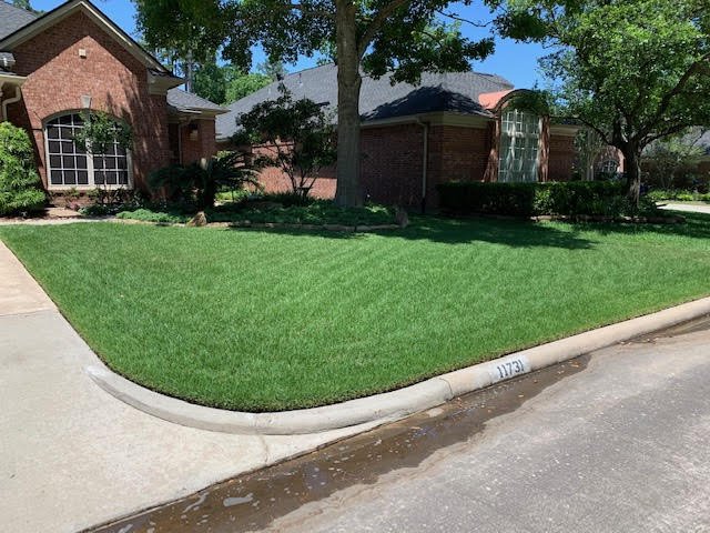 MATA-TURF - Updated January 2026 - 73 Photos - 10408 Tanner Rd, Houston ...
