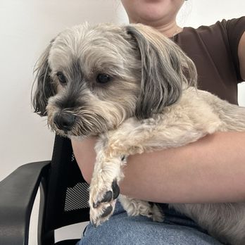 LOVE ANIMAL HOSPITAL AND URGENT CARE - Updated December 2024 - 22 ...