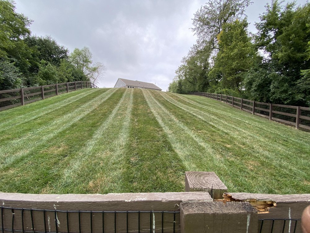 LORENZO LAWN CARE - 143 Photos - Covington, Kentucky - Landscaping ...