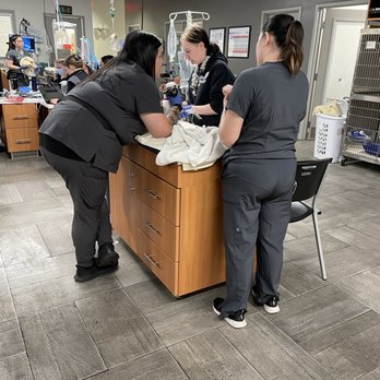 VETERINARY EMERGENCY GROUP - Updated July 2025 - 327 Photos & 571 ...