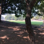 CODORNICES PARK - 156 Photos & 153 Reviews - 1201 Euclid Ave, Berkeley ...