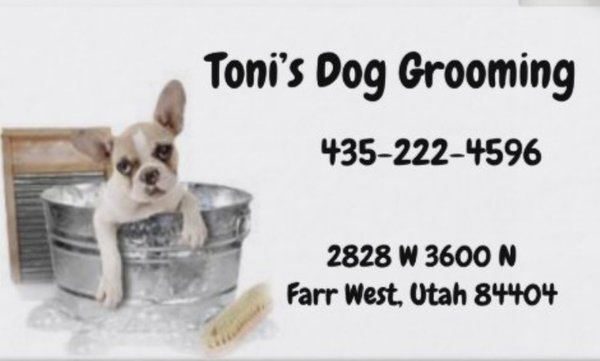 TONI’S DOG GROOMING - Updated January 2026 - 2828 W 3600th N, Farr West ...