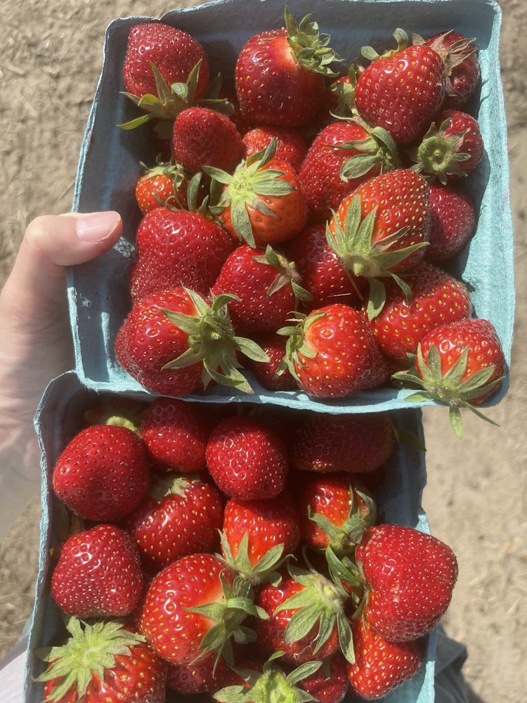 ROWAND’S FARM - TEMP. CLOSED - Updated October 2025 - 11 Photos & 13 ...