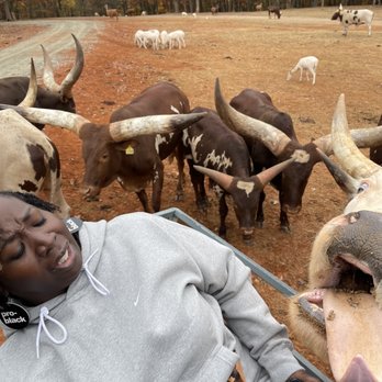 LAZY 5 RANCH - Updated July 2025 - 862 Photos & 297 Reviews - 15100 ...