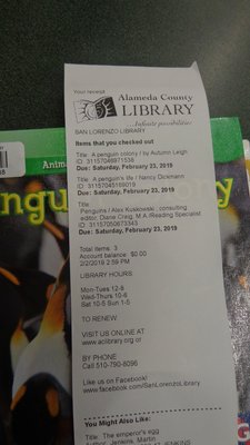 SAN LORENZO LIBRARY - Updated December 2025 - 23 Photos & 46 Reviews ...