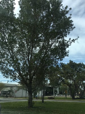 MIAMI-DADE PUBLIC LIBRARY SYSTEM - WESTCHESTER REGIONAL - Updated ...