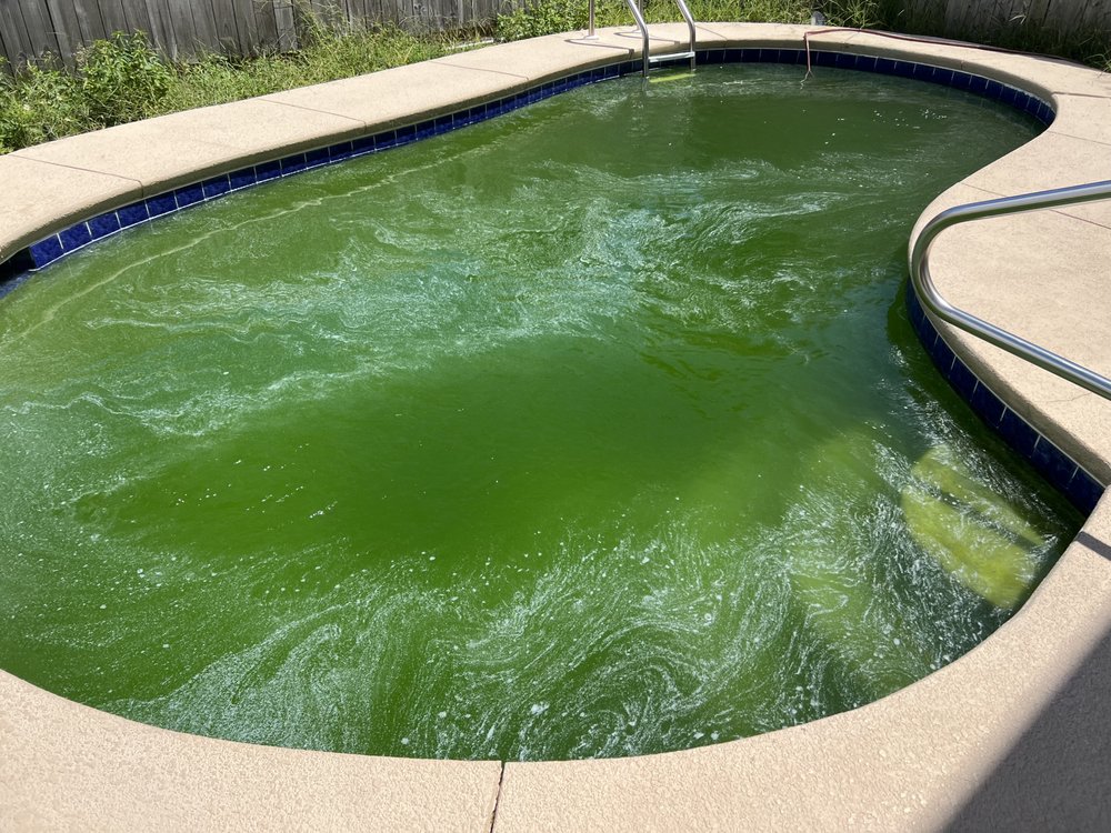 WATERWAY POOLS AND SPA - 1016 Thomas Dr, P C BEACH, Florida - Pool ...