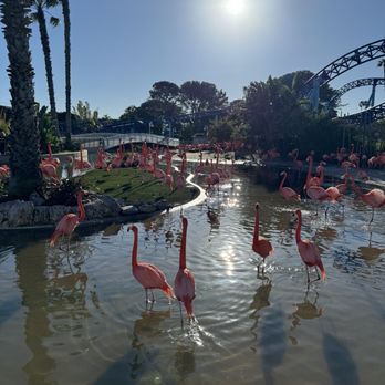 SEAWORLD - Updated July 2025 - 89 Photos & 95 Reviews - 12 Month Pass ...