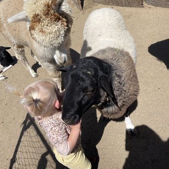 RANCHO LOS FONSECA - Updated October 2025 - 154 Photos & 49 Reviews ...