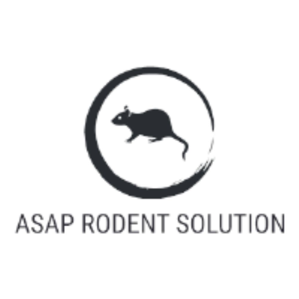 ASAP RODENT SOLUTIONS - Updated October 2025 - 154 Photos & 149 Reviews ...