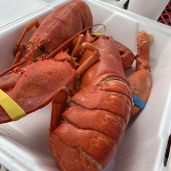 Bar Harbor Seafood - Takeout & Delivery - 737 Photos & 462 Reviews ...